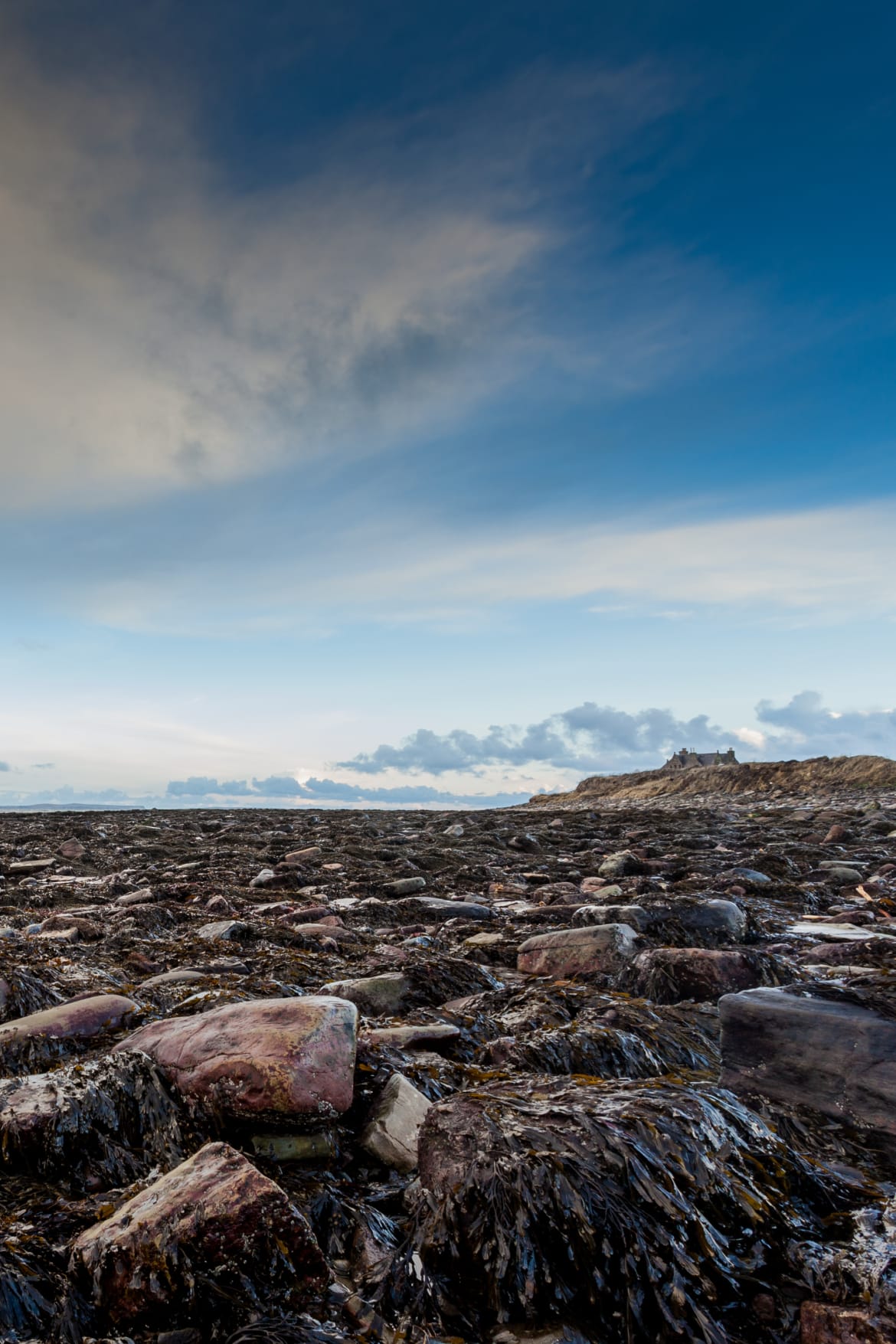 Horizon Seaweed - Passionate about producing quality handpicked ...