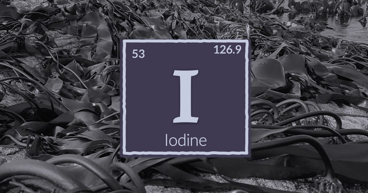Iodine from seaweed for thyroid health | Updates | Horizon Seaweed