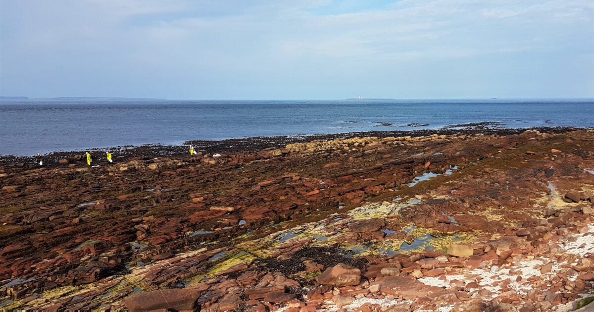 Our coast: Ness of Duncansby | Updates | Horizon Seaweed