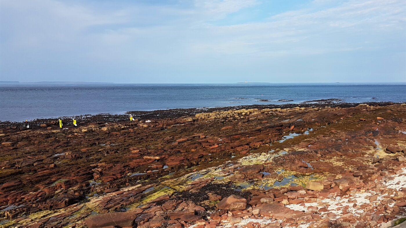 Horizon Seaweed - Passionate about producing quality handpicked ...
