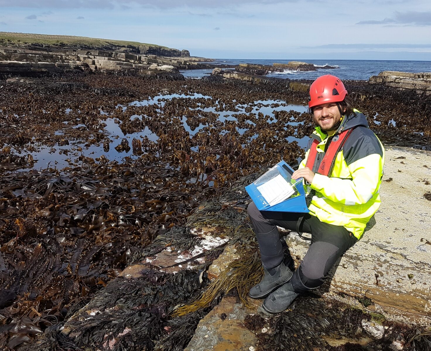 Background To Horizon Seaweed Harvesting And Processing Horizon Seaweed