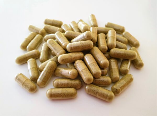 Seaweed for human health and nutraceuticals | Applications | Horizon ...