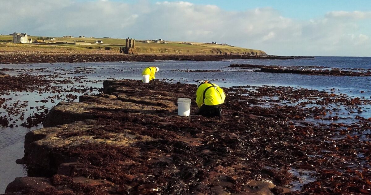 Our coast: Keiss | Updates | Horizon Seaweed