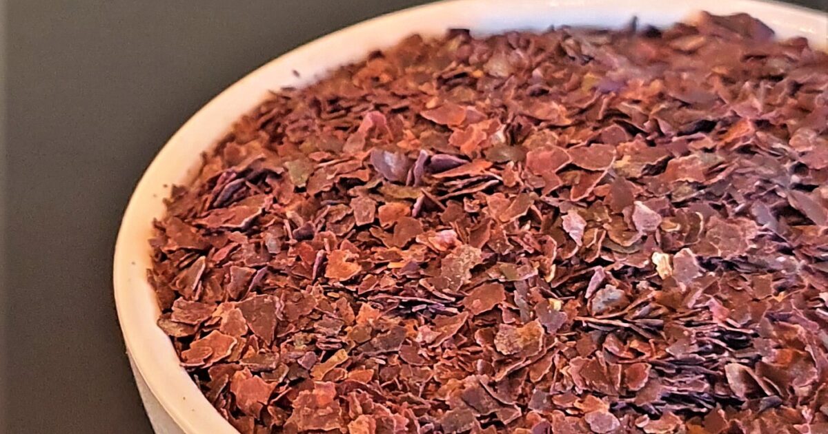 Species spotlight: dulse | Updates | Horizon Seaweed