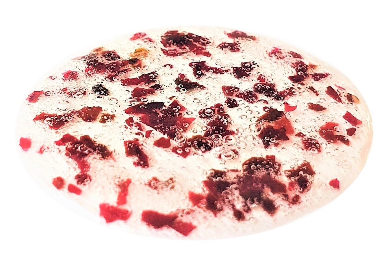 Species spotlight: dulse | Updates | Horizon Seaweed