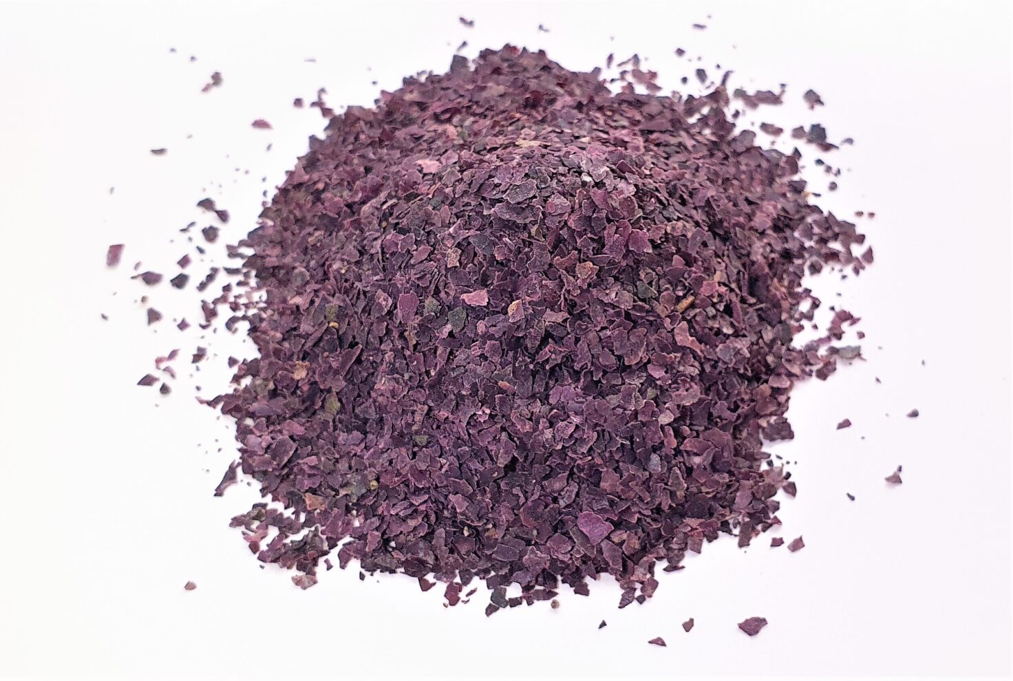 Species spotlight: dulse | Updates | Horizon Seaweed