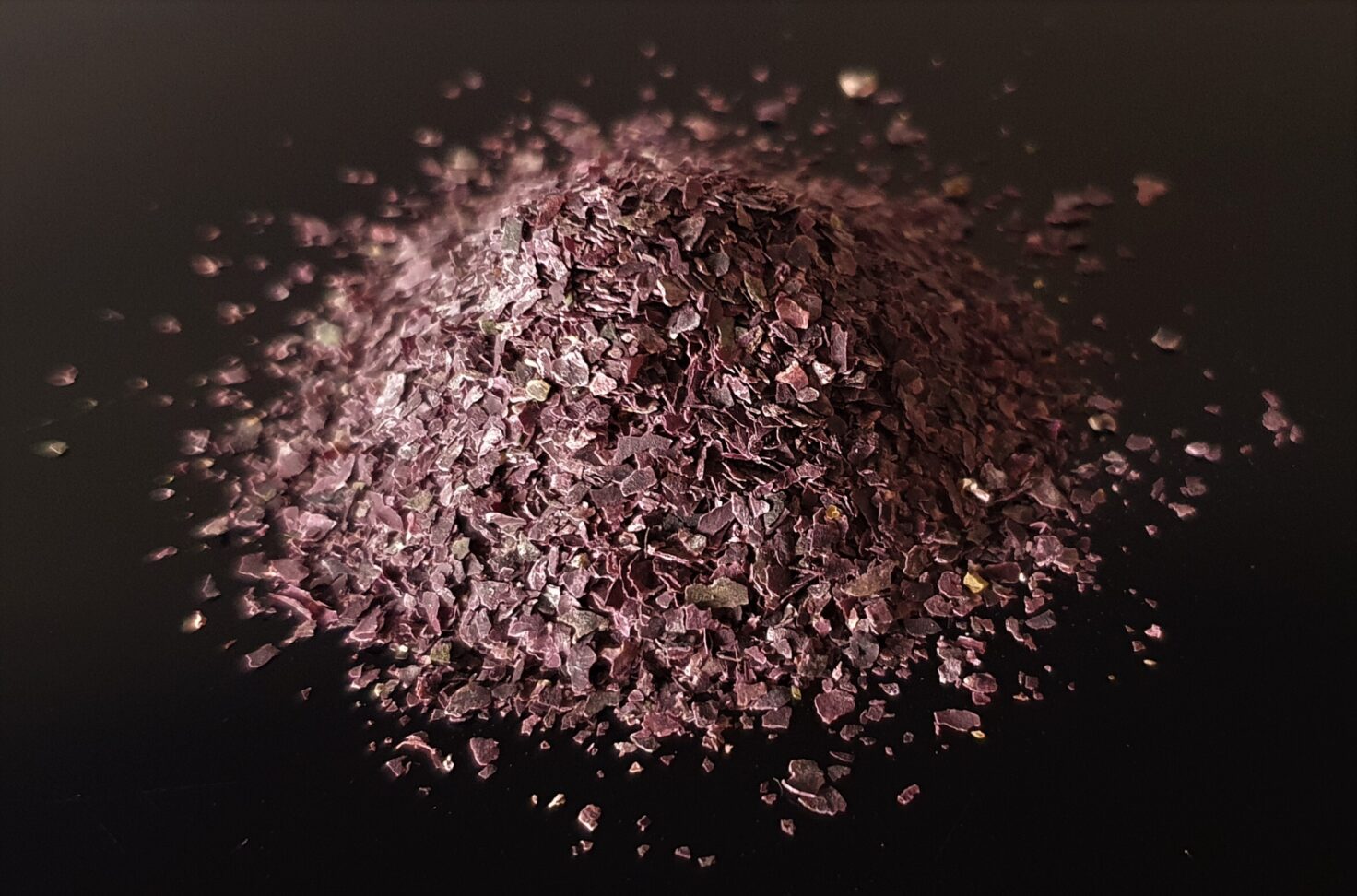 Species spotlight: dulse | Updates | Horizon Seaweed